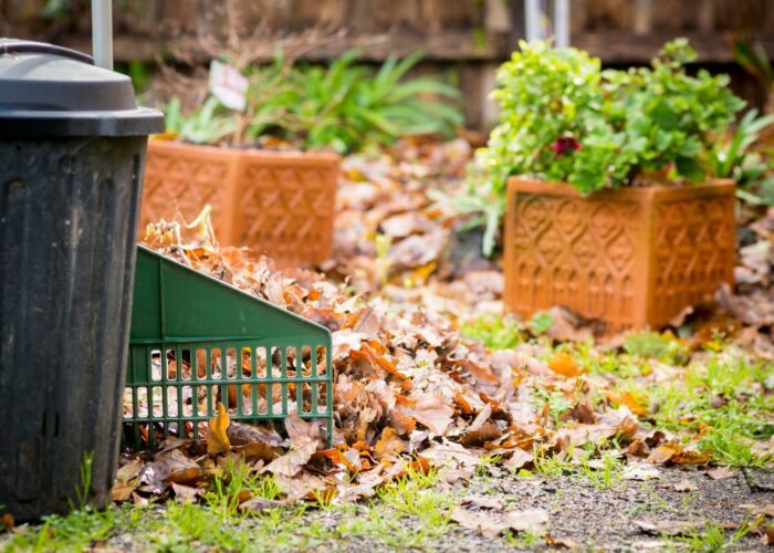 Easy Steps to Clean up Your Backyard - Grit